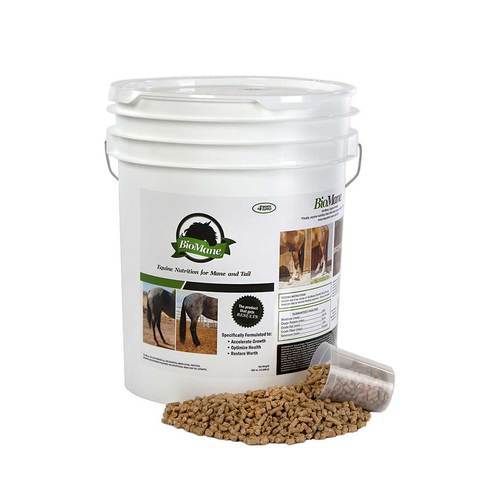 BioMane Horse Supplement - Bryan, TX - Circle P Feed & Supply