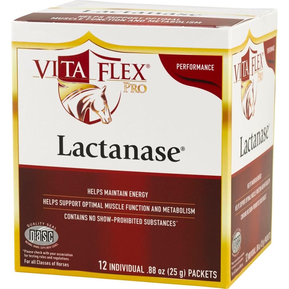 VITA FLEX LACTANASE PACKET SUPPLEMENT FOR HORSES - Bryan, TX - Circle P ...